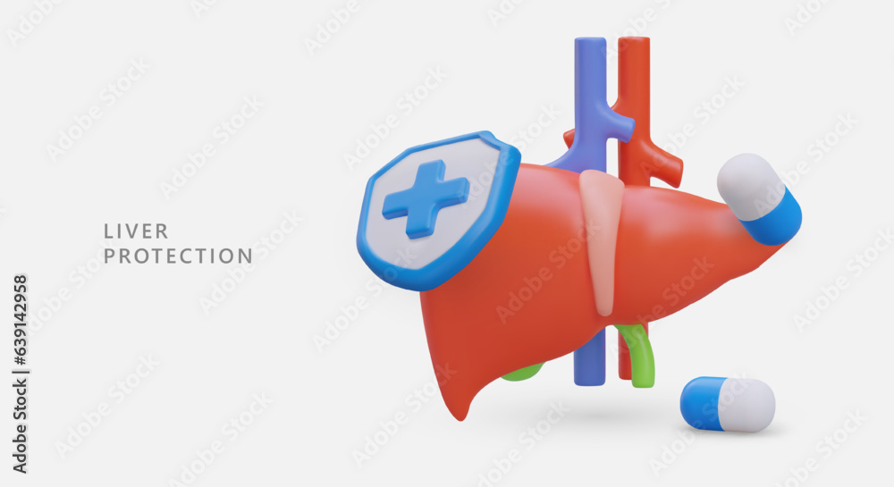 Liver protection. 3D liver with veins, medical shield with blue cross ...