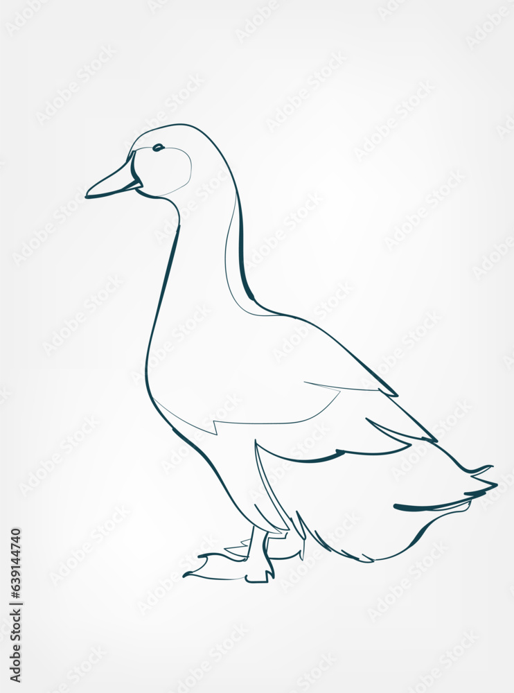 duck vector line art animal wild life single one line hand drawn ...