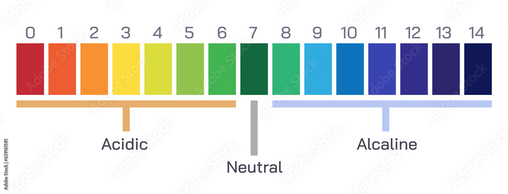 Litmus paper and change in color with reaction with acids vector ...