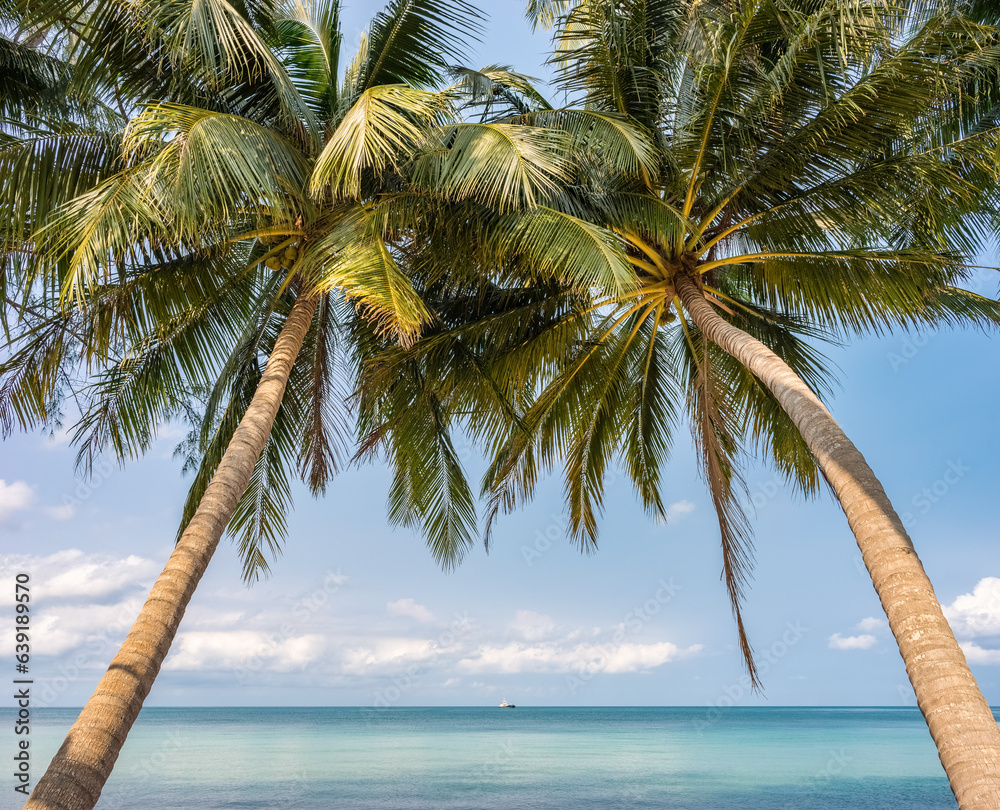 Tropical paradise beach with palms and clear turquoise water in sea ...