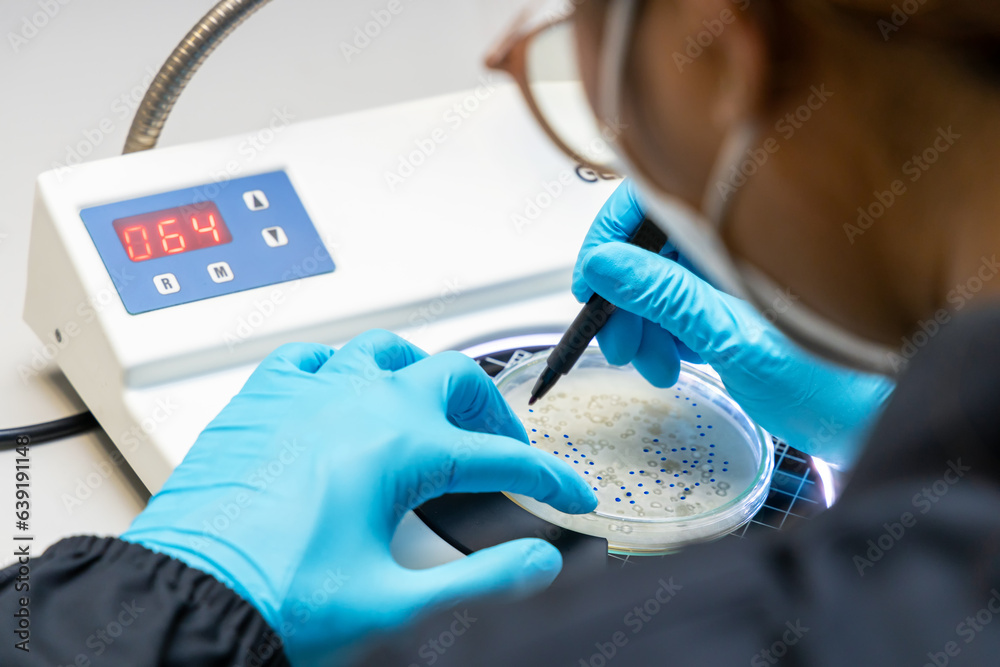 Scientist analysis and cultivate bacteria molds and fungal testing ...