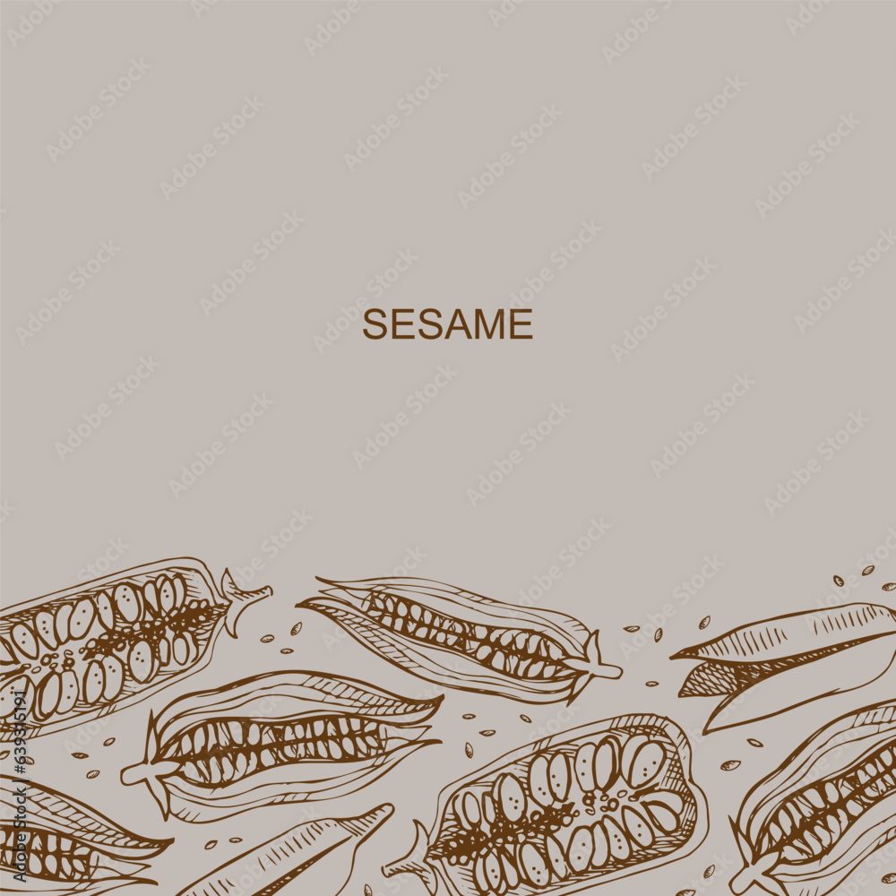 Sesame label template background for text. Sesame plants with seeds ...