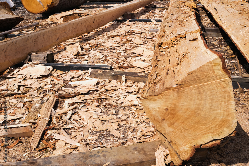 Various stacked logs, material for construction and crafts in a ...