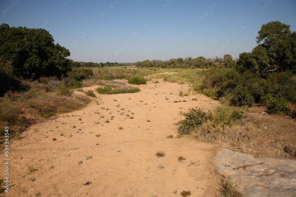 Krüger Park - Afrikanischer Busch - Trockenes Flussbett / Kruger Park ...