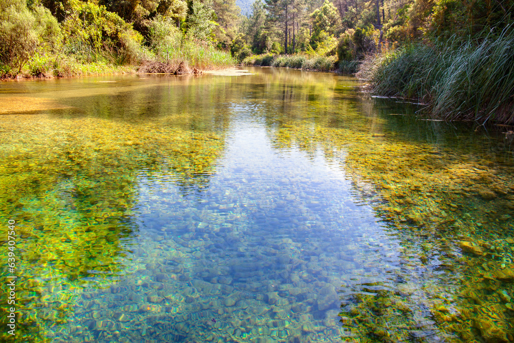 Fotografía Río en calma con aguas transparentes, maycam | Posters.es