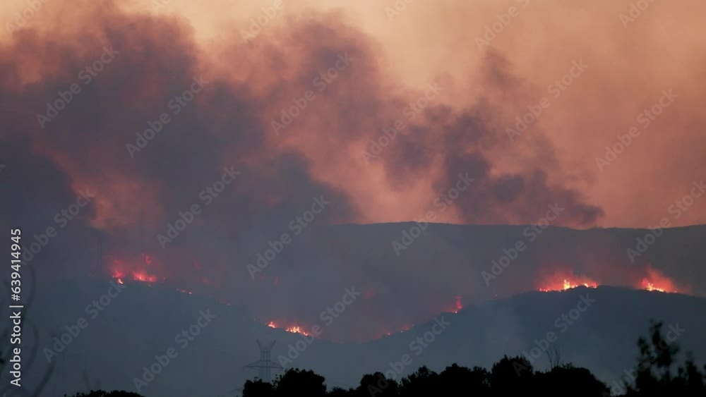 Forest fires in the prefecture of Evros in northern Greece in the ...