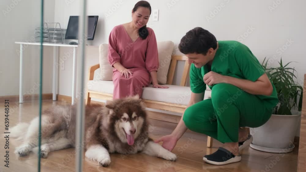 Male veterinarian greeting owner and big fluffy dog while stroking its ...