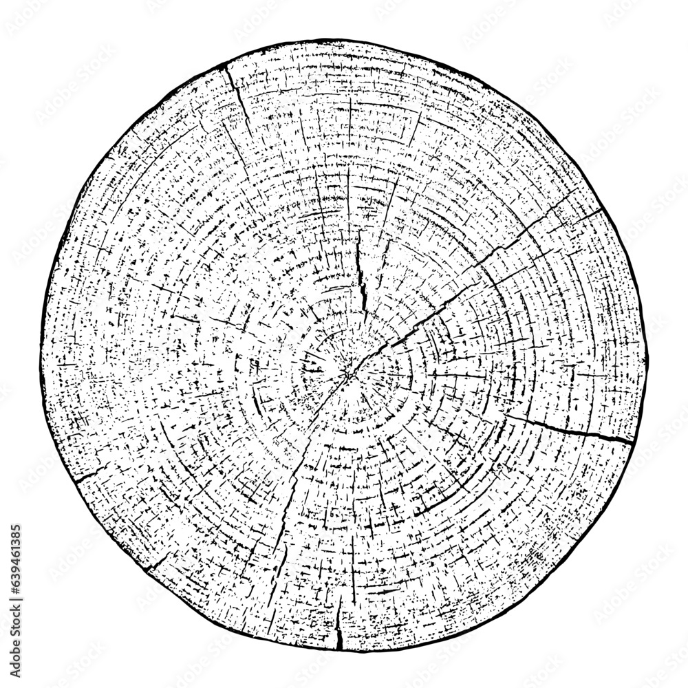 Wood texture cross section of tree rings. Cut slice of wooden stump ...