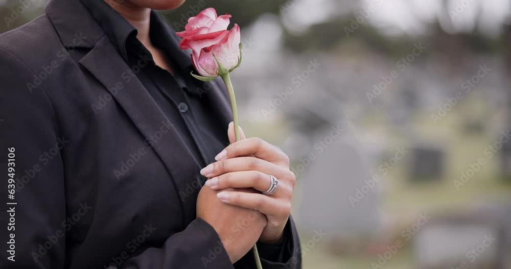 Funeral, cemetery and person with rose sad for remembrance, burial ...