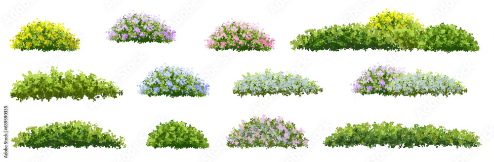 Vector of green grass or shrub isolated on white background,tree ...