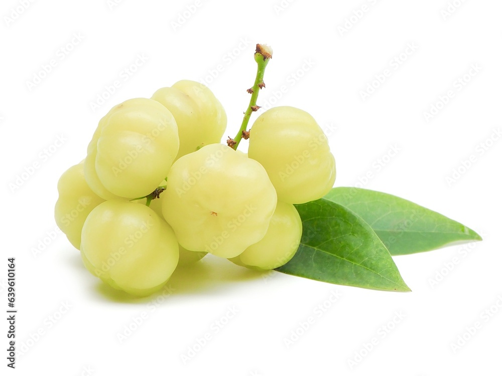 fresh organic sour gooseberry laying on white background small ...