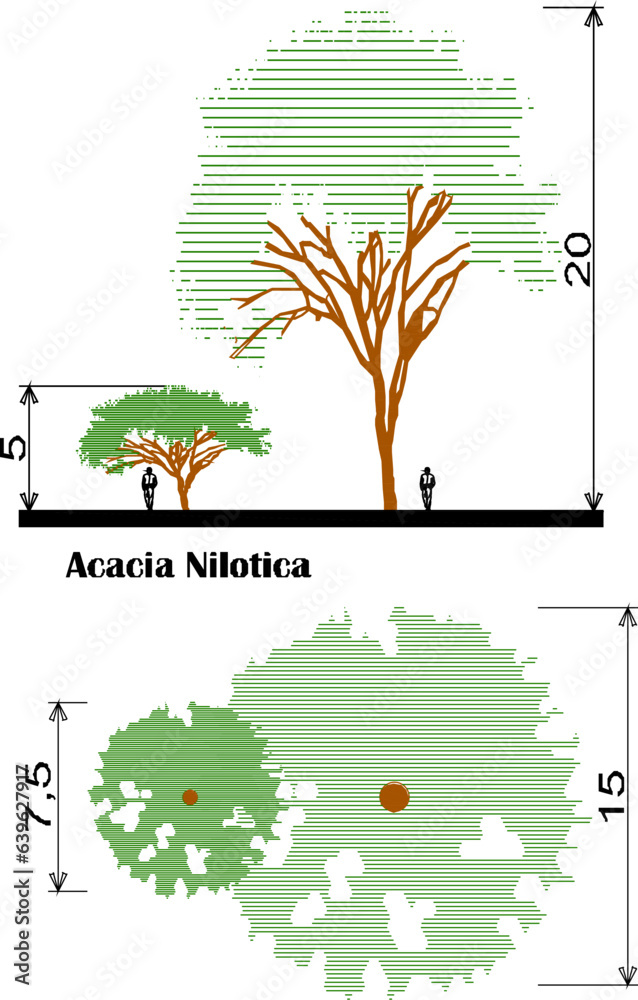Vector sketch illustration of detailed floor plan and view of tree and ...
