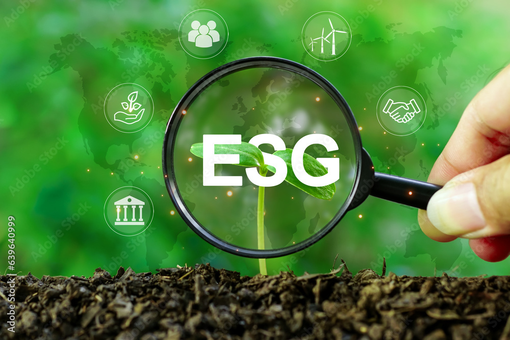 Hands hold magnifying glass focused on ESG text with growing tree and ...