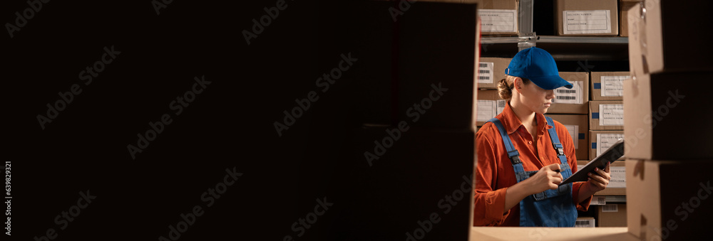 Manager woman worker making inventory cardboard boxes on shelves in ...