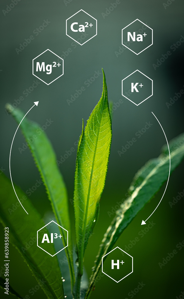 Illustration depicting cation exchange capacity (CEC) as a valuable ...