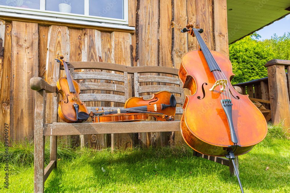 A photography of old string musical instruments placed on an old bench ...