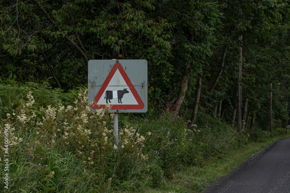 Quirky Scottish road sign showing a traditional Beltie cow Stock Photo ...