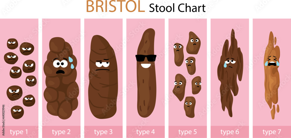 A set of various types human feces - constipation, normal and diarrhea. Excrement at health ...