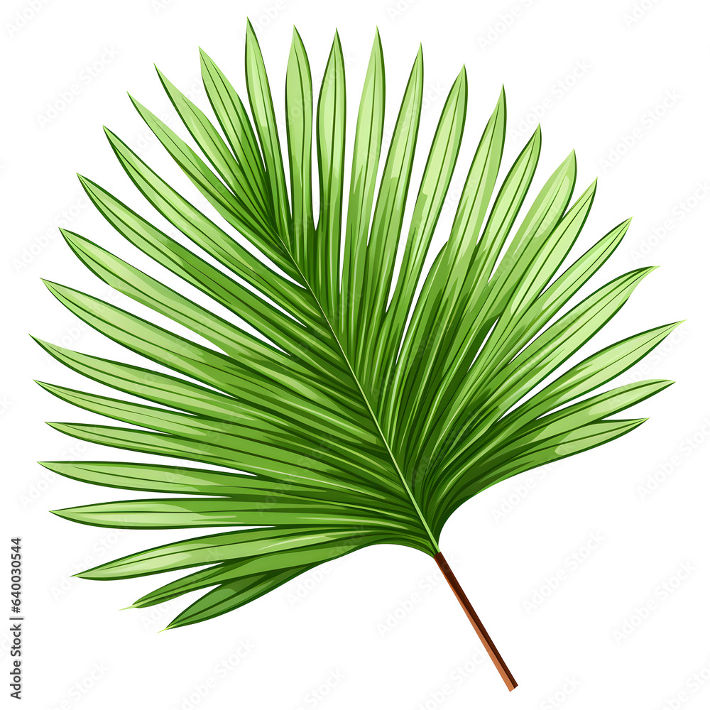 Cartoon clipart of fern leaf, transparent background Stock Illustration ...