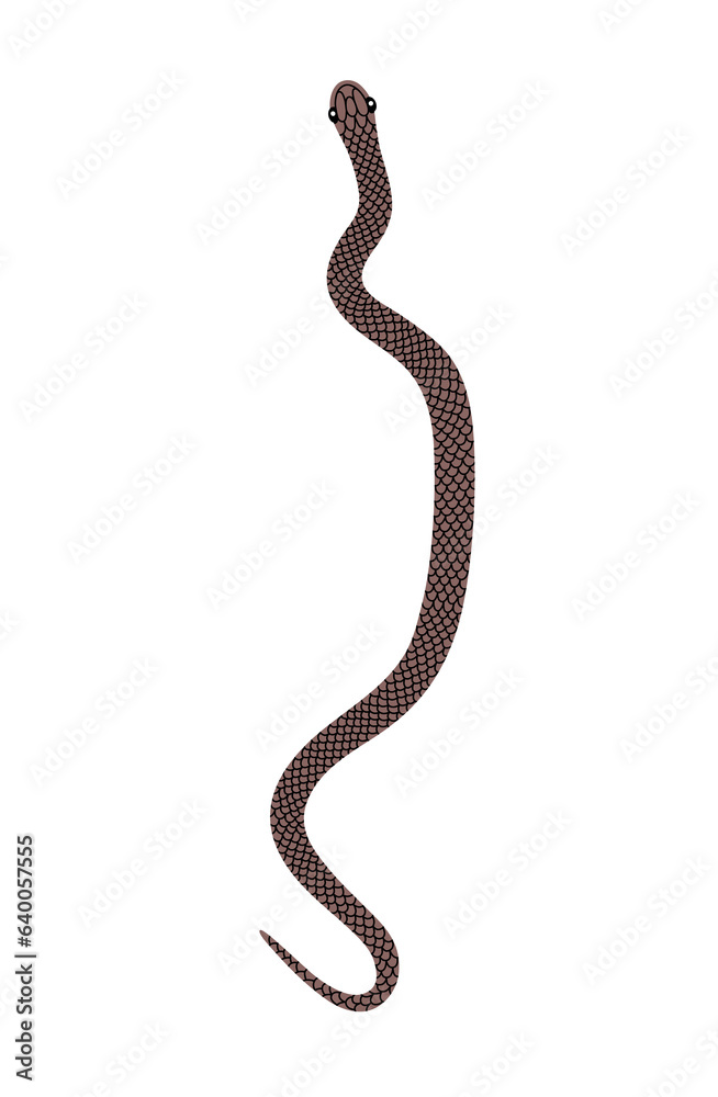 Vector hand-drawn illustration of brown Snake top view. Isolated on ...