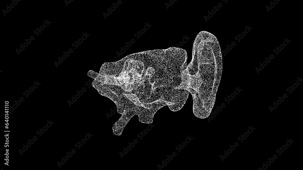 3D Ear Anatomy on black background. Ear inner anatomy section. Business ...