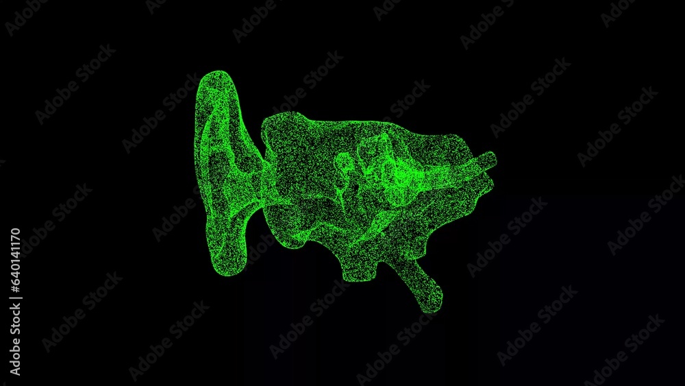 3D Ear Anatomy on black background. Ear inner anatomy section. Business ...