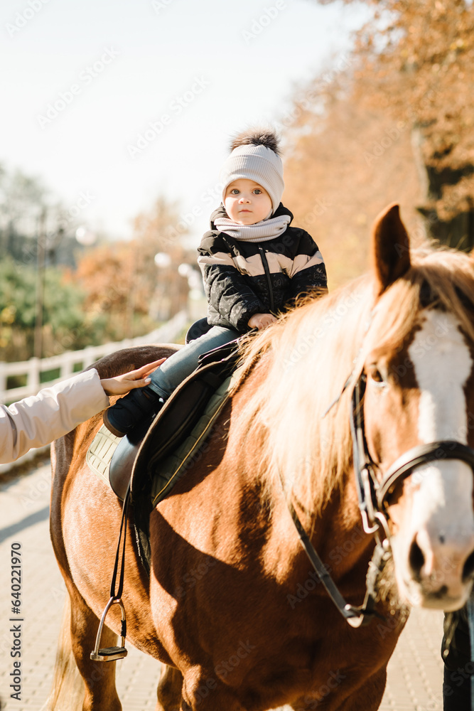 Child on a horseback closeup. Kid riding a horse. Family having fun ...