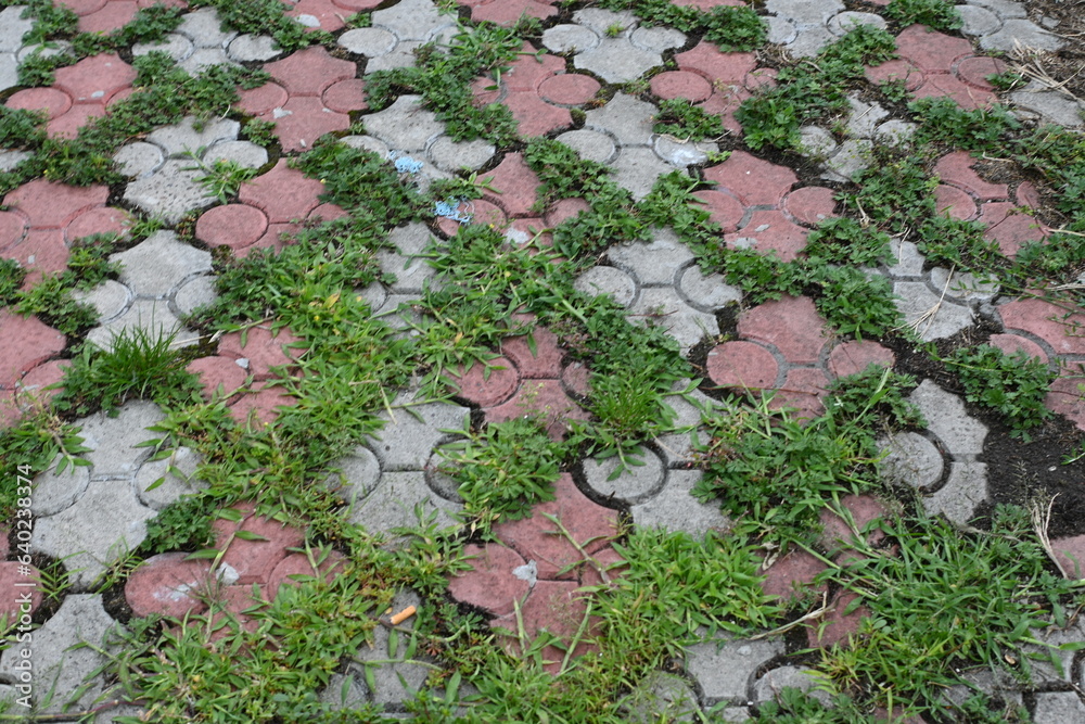 Abandoned tile as a backdrop, Grass growing through tile seams, urban ...