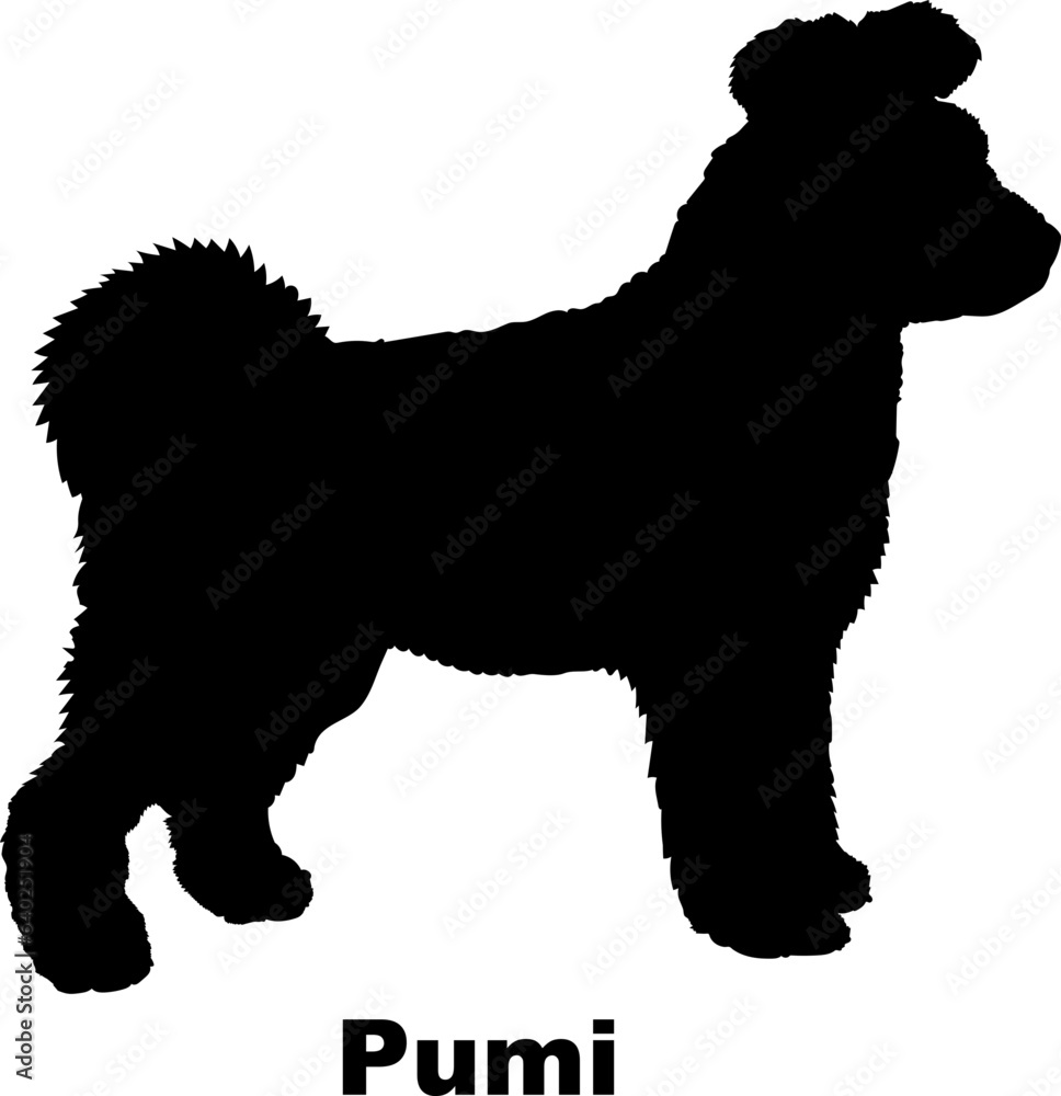 Pumi. dog silhouette dog breeds Animals Pet breeds silhouette Stock ...