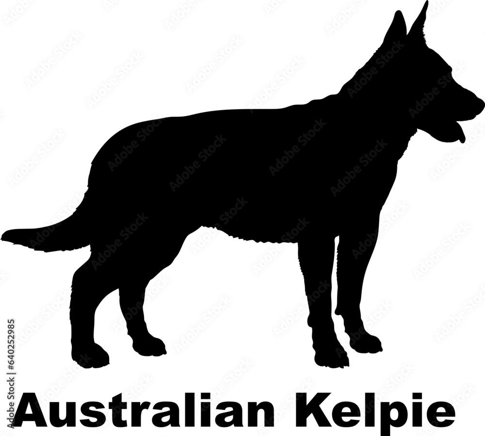 Australian Kelpie dog silhouette dog breeds Animals Pet breeds ...