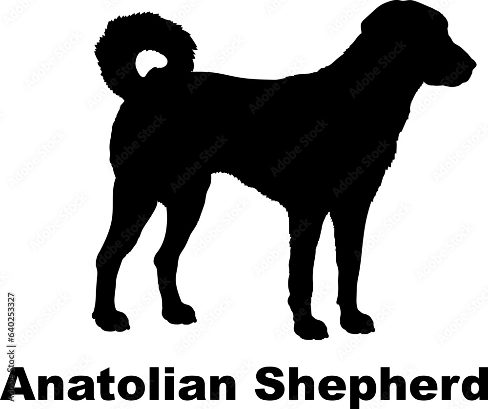 Anatolian Shepherd. dog silhouette dog breeds Animals Pet breeds ...