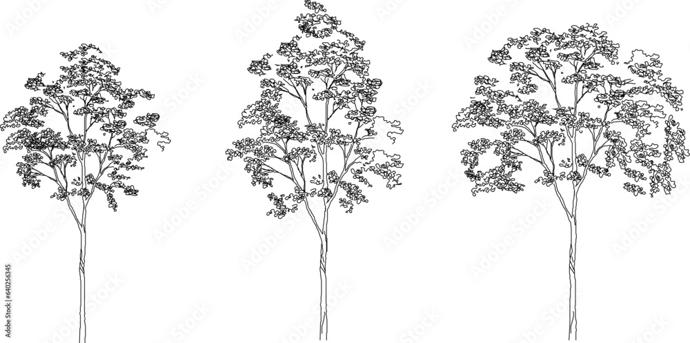 Vector sketch of tree and plant design illustration front view for plan ...