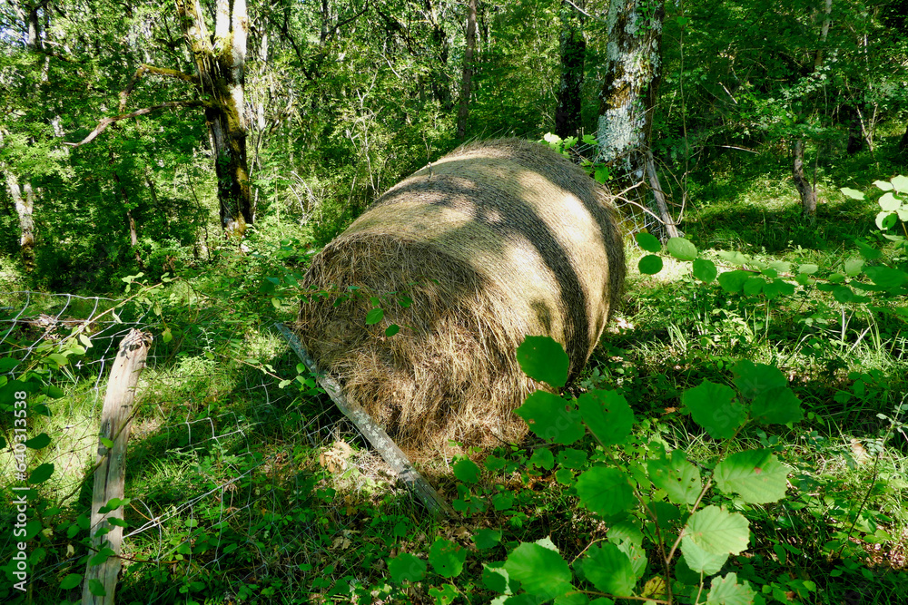 Hay bale ejected from a hay baler onto a sloping field where gravity ...