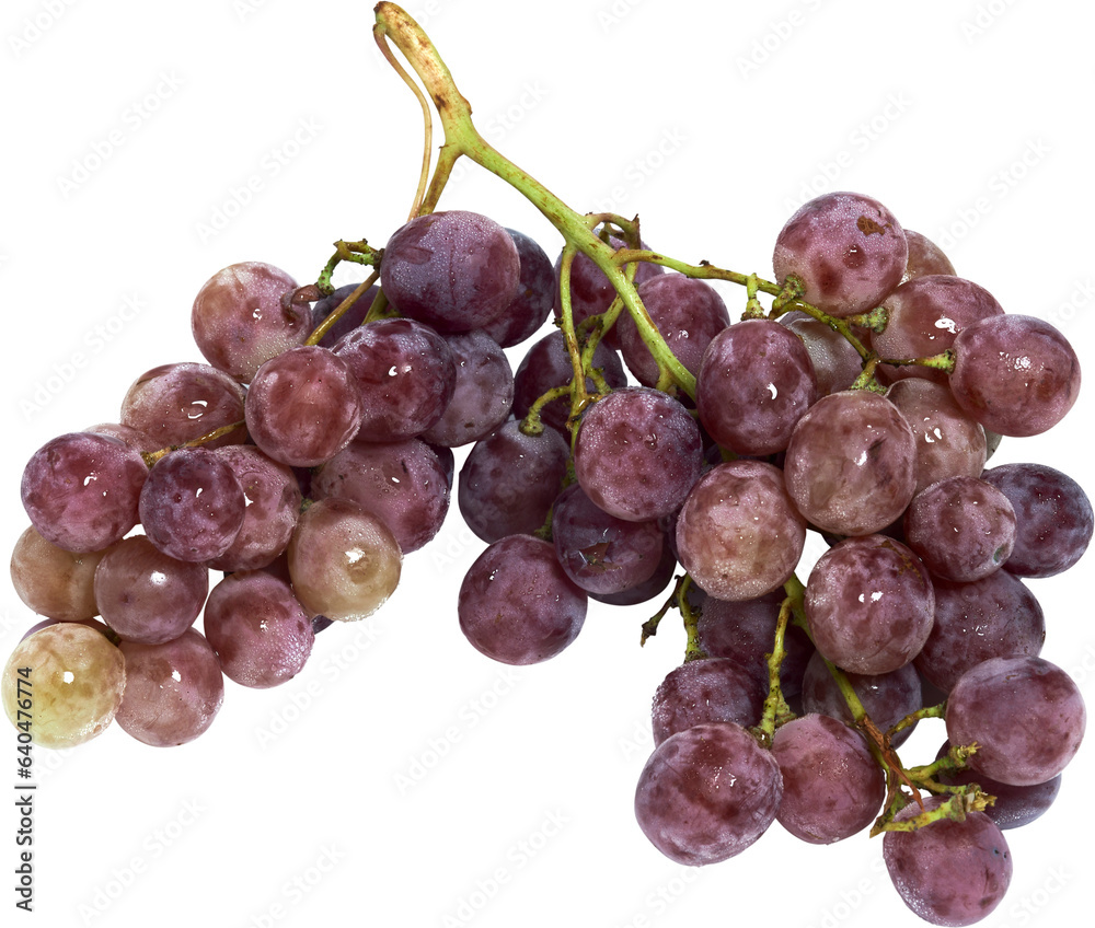 uvas, uvas moradas, uva roja, frutas, uva rosada, racimo de uvas Stock ...