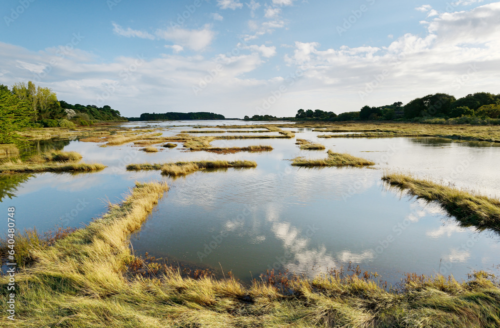Ancient tidal oyster beds on the west side of resort of La Trinite sur ...