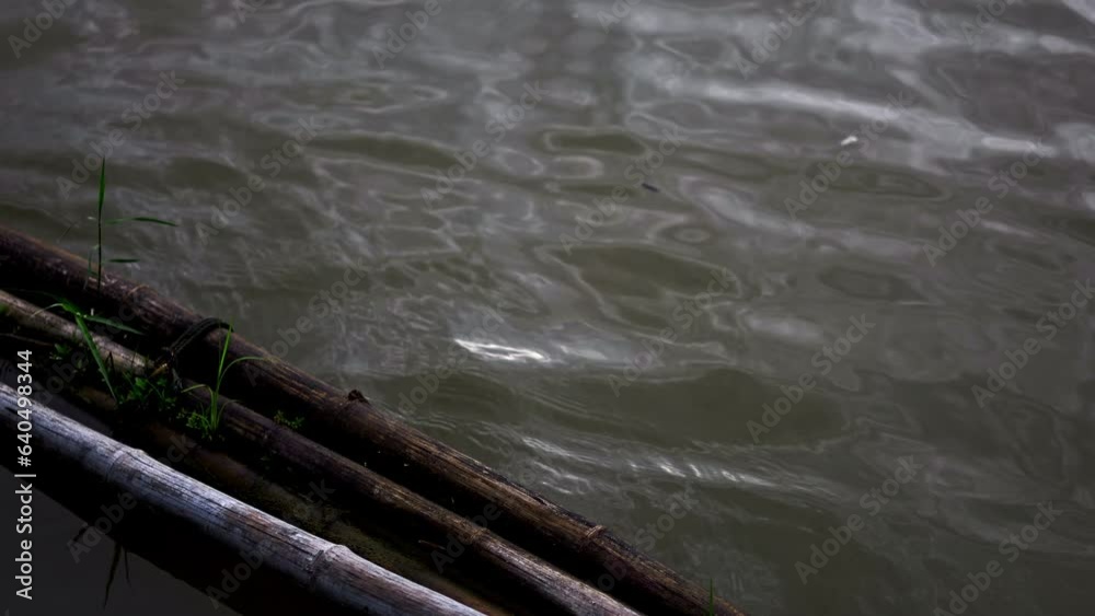 Bamboo Wave Protection In The River is motion footage for documentary ...