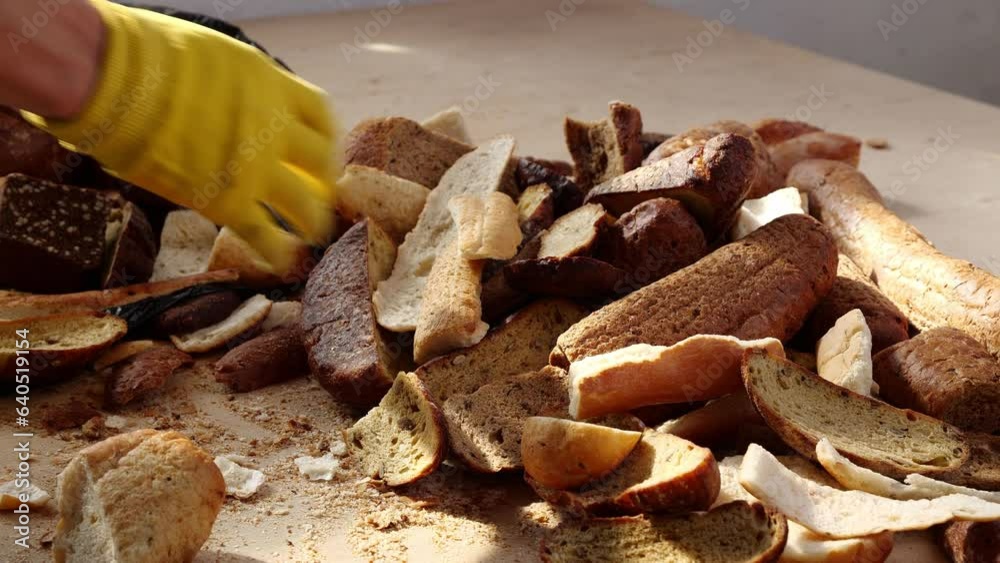 Recycling Bakery Waste. Recovery of bread waste Stock ビデオ | Adobe Stock