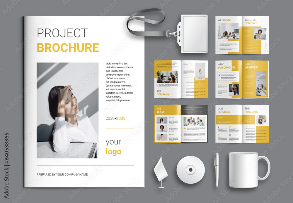 Project Brochure Design Layout Stock Template | Adobe Stock