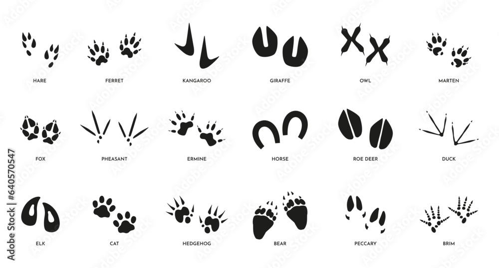 Animal footsteps. Horse fox bear and cat paw track silhouettes ...