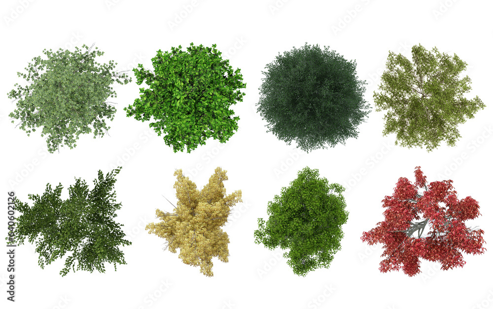 Realistic top view trees Stock Illustration | Adobe Stock
