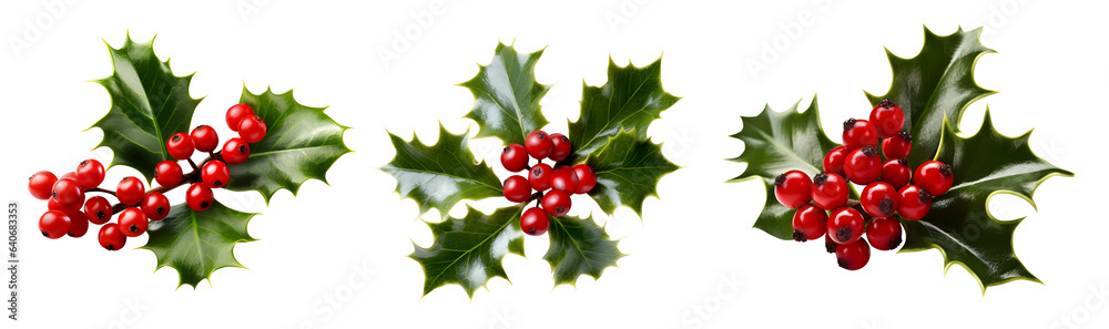 Christmas sprig holly leaves and berries on transparent background ...