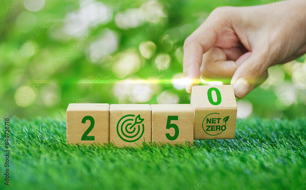 Wooden cube with word 2050 numbers and net zero carbon target icon over ...