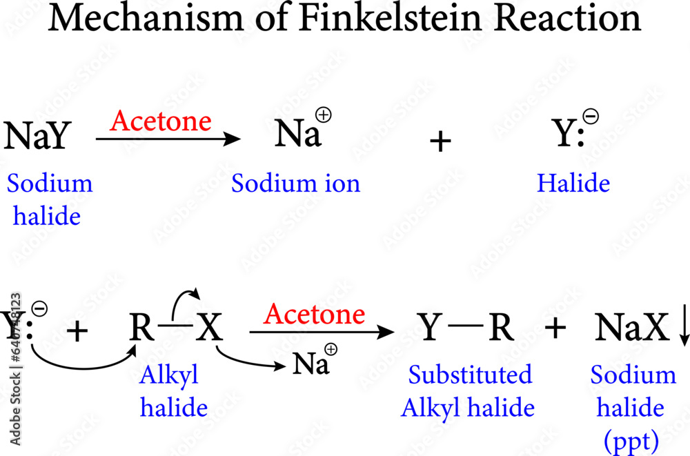 Mechanism of Finkelstein Reaction.Vector illustration Stock Vector ...