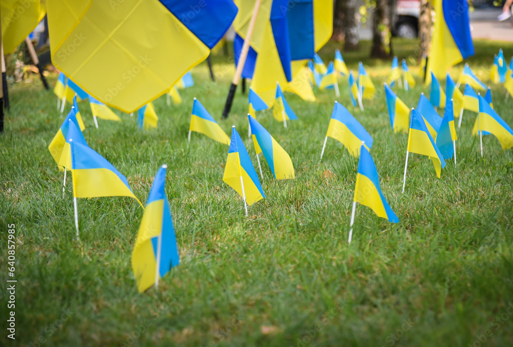 POLTAVA, UKRAINE - AUGUST 29, 2023: Ukrainian national flags as a ...