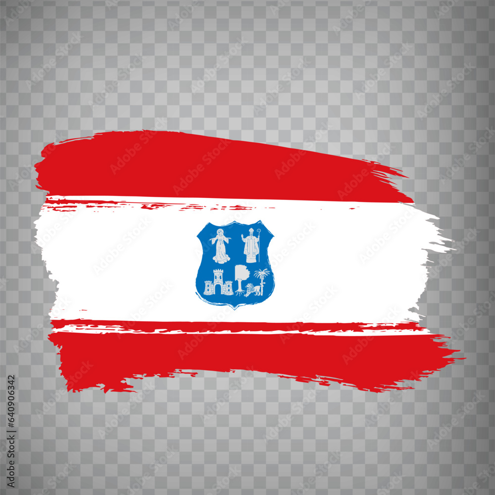Flag of Asuncion brush strokes. Flag of Asuncion capital Paraguay on ...