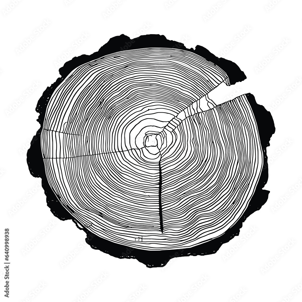 Log cut, vector illustration. Tree rings pattern, shades of gray. Stock ...