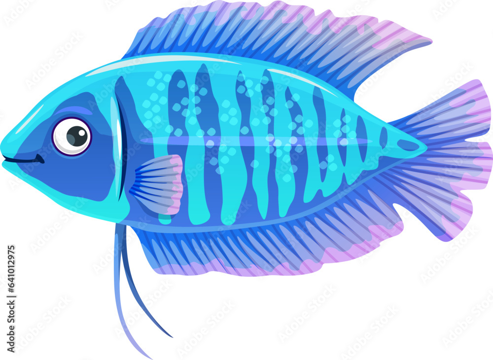 Cartoon aquarium fish. Isolated vector banded gourami or trichogaster ...