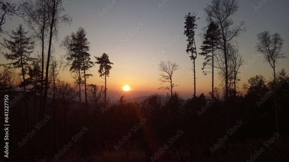 Sunset setting sun forest peaceful spectacular and breathtaking view in ...