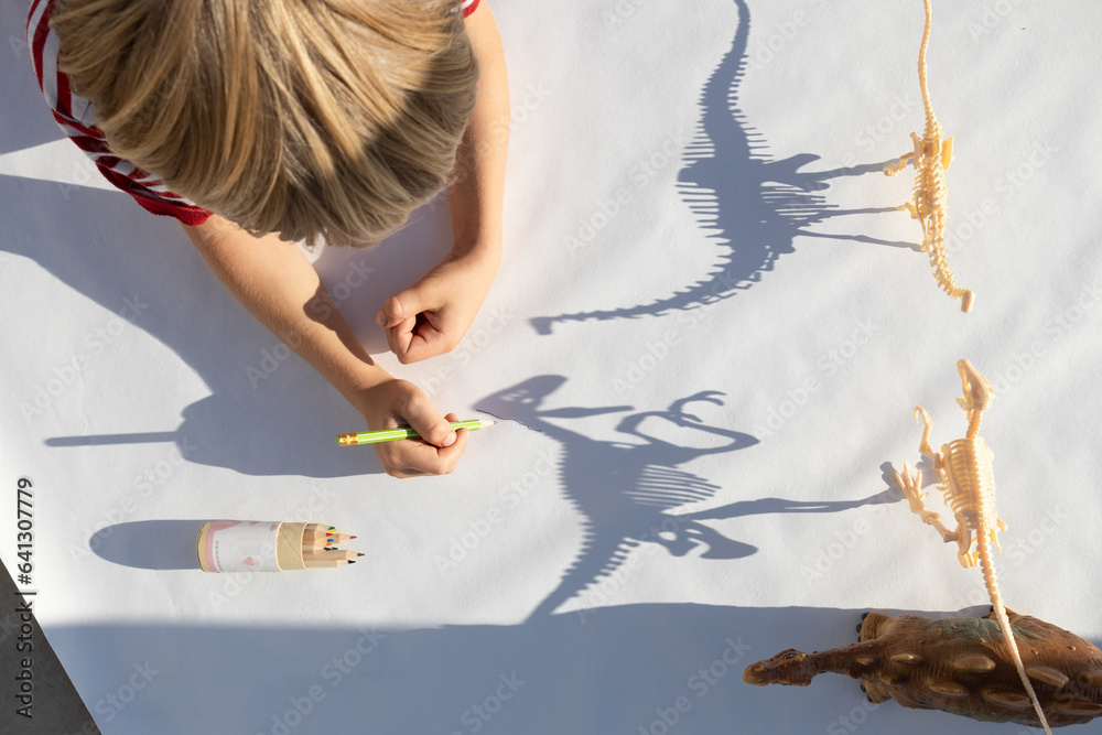 child traces with a pencil contrasting shadows from the skeletons of ...