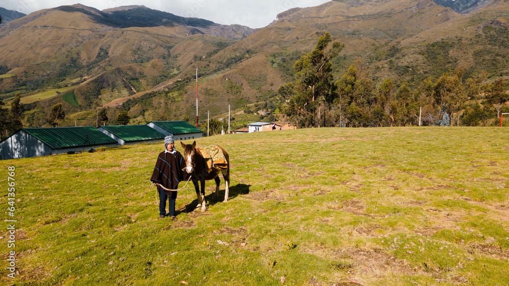 Póster Hombre nativo quechua usando un chullo junto a un caballo de ...